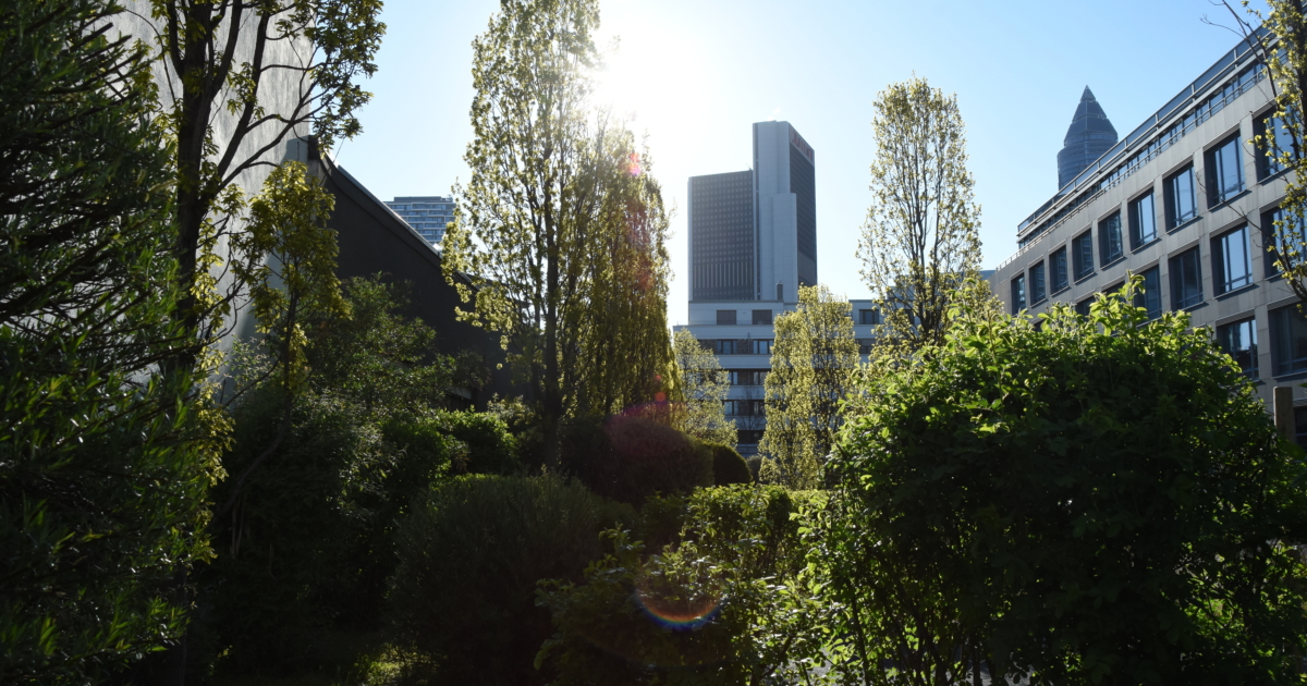 Groundwater: De-localized Resources in the Anthropocene | ISOE ...