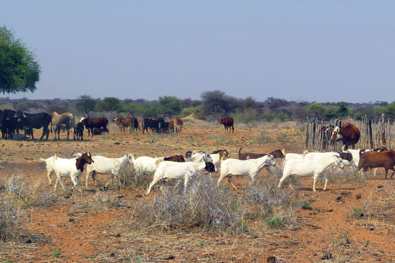 Institute for Social-Ecological Research in Frankfurt Main: ISOE